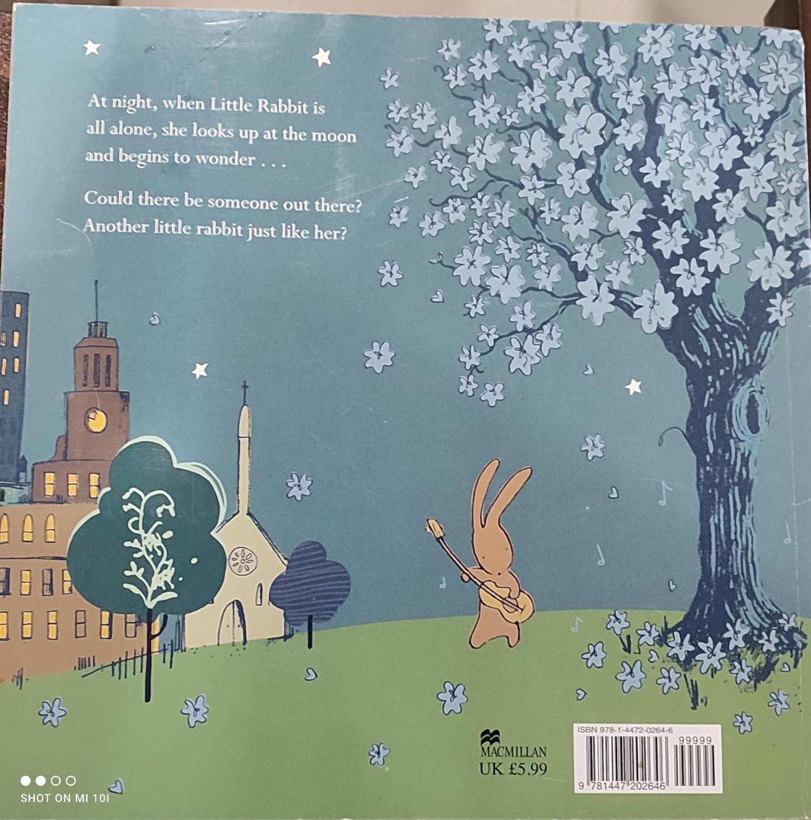 Moon Rabbit – Macbeth Publications